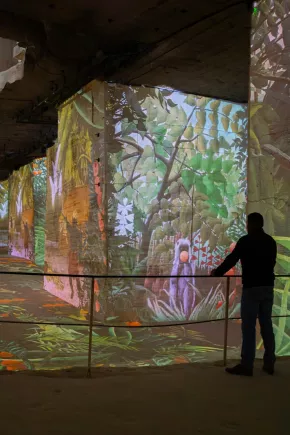 Exhibition Rousseau in Baux-de-Provence | Carrières des Lumières